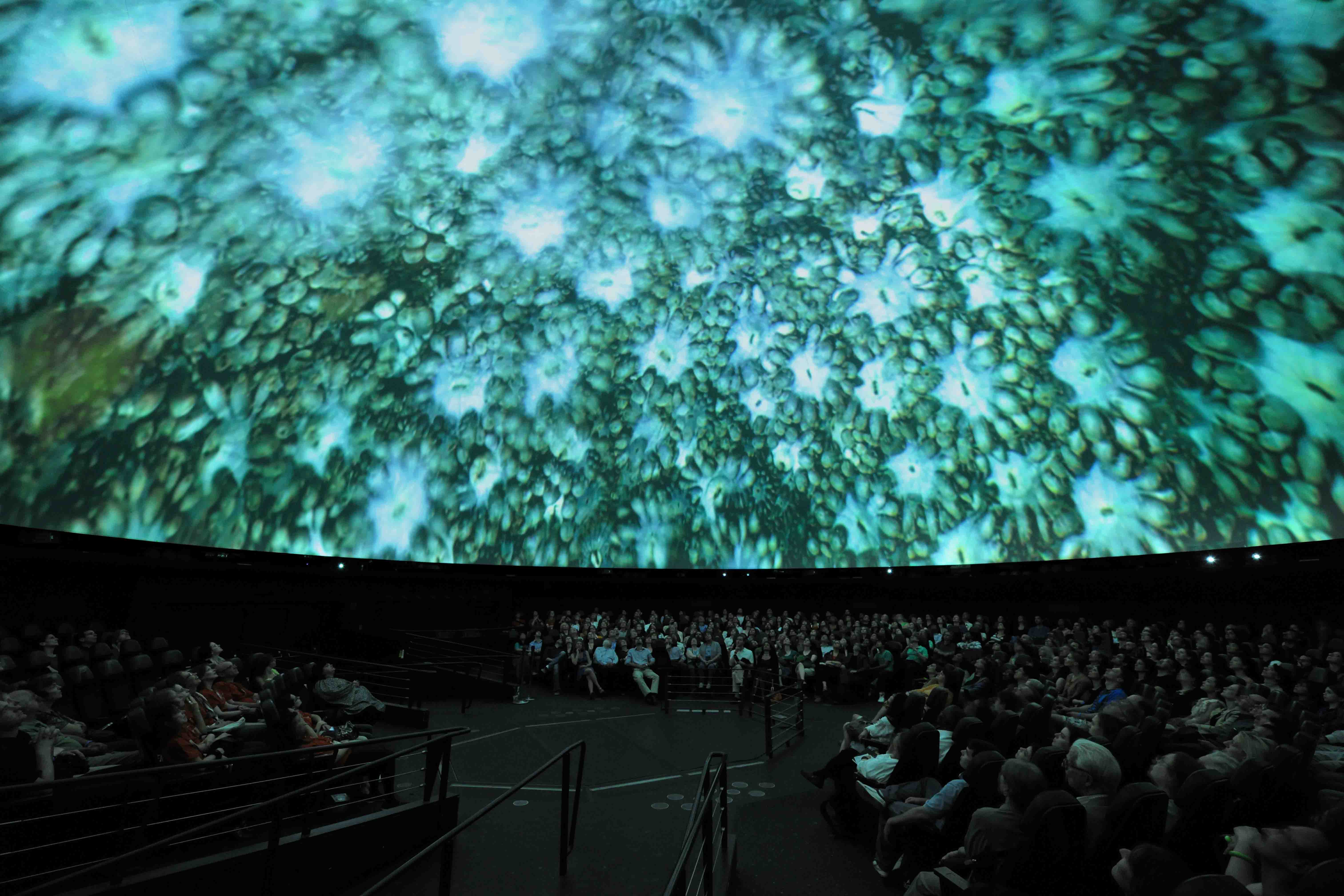 Australia Innovates - Brave New (Virtual) World
