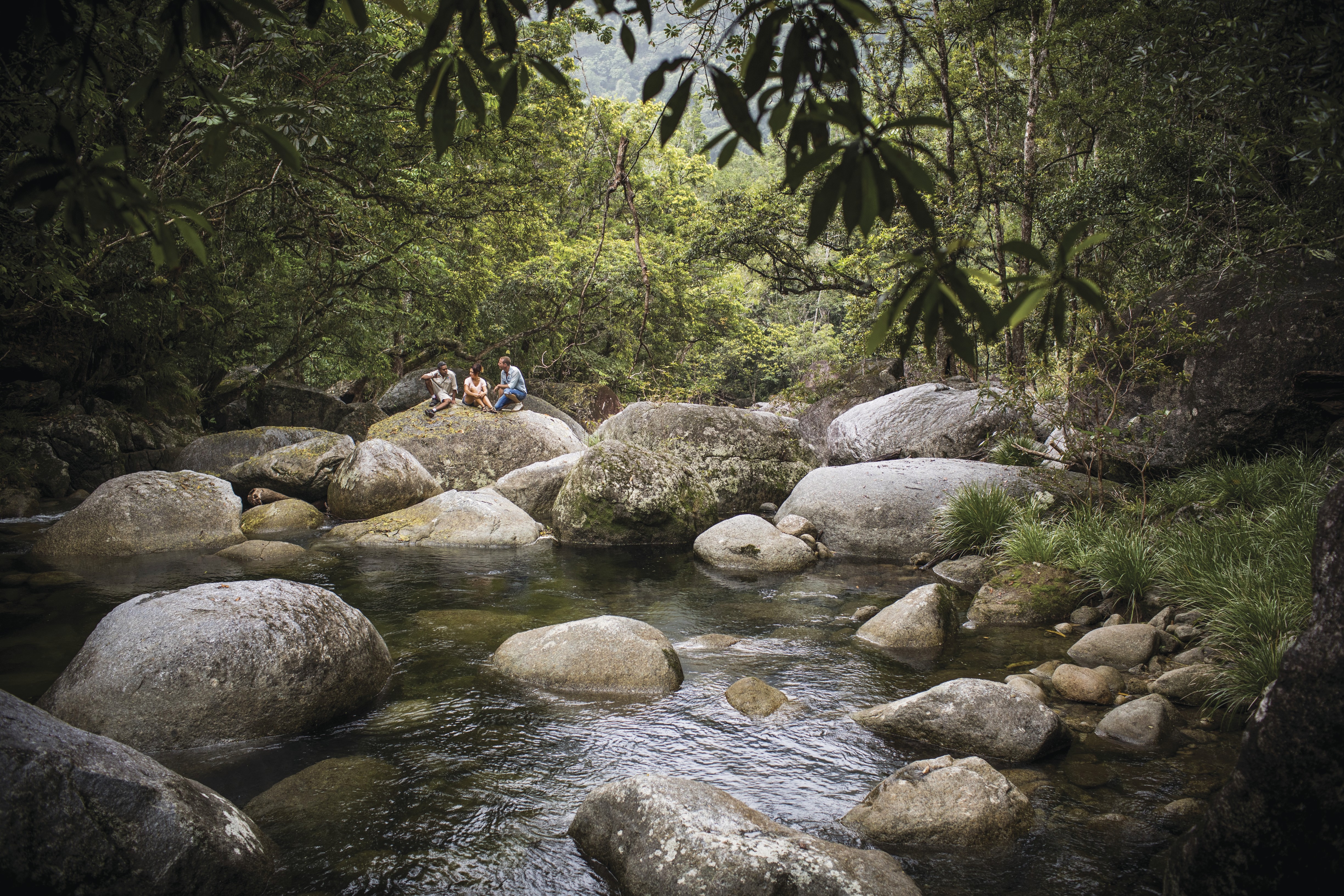 Cairns and the Great Barrier Reef Program Pitch - Plan Your Business ...